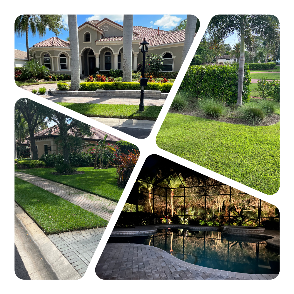 Sarasota's Premier Lawn Care & Landscaping Company